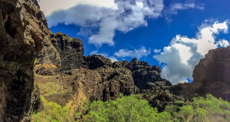 Tenerife: Teide National Park & Teno Rural Park Private Tour - Who Would Love This Tour?