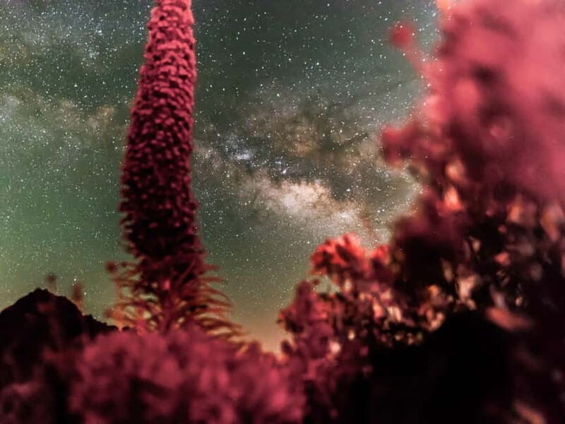 Tenerife: Teide Stargazing with an Astrophysicist - Authentic Experiences from Reviewers