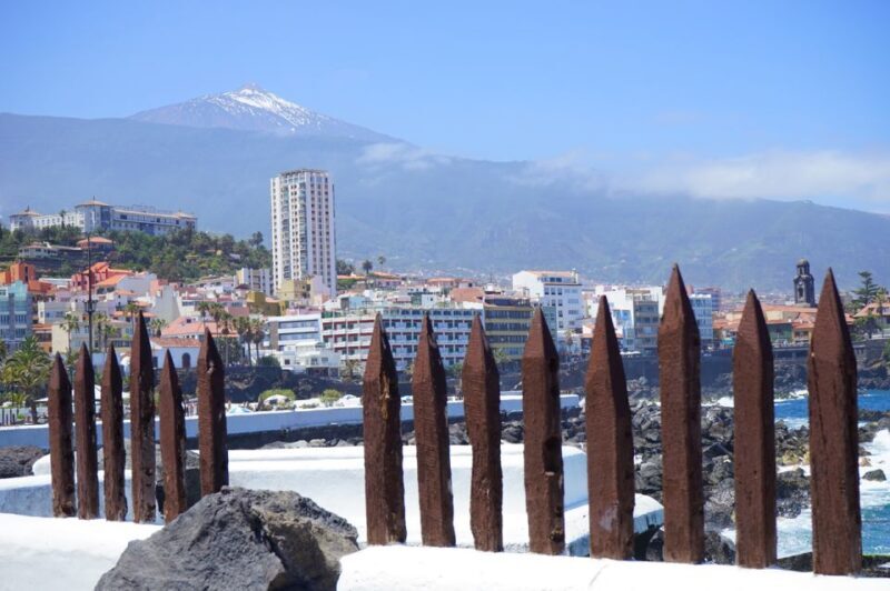 Tenerife: Trip to Puerto de la Cruz - Key Points