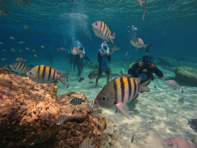 Tenerife: Underwater Walk - Sea Trek Experience - Key Points