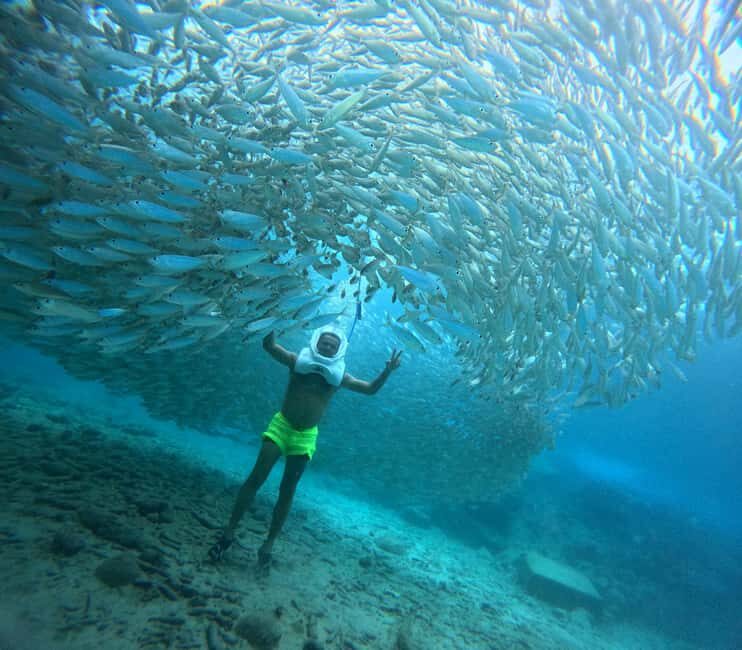 Tenerife: Underwater Walk - Sea Trek Experience - Introduction: What Is the Sea Trek Underwater Walk?