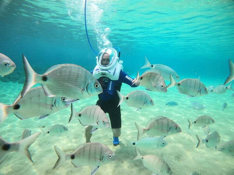 Tenerife: Underwater Walk - Sea Trek Experience - Practical Tips for Preparing