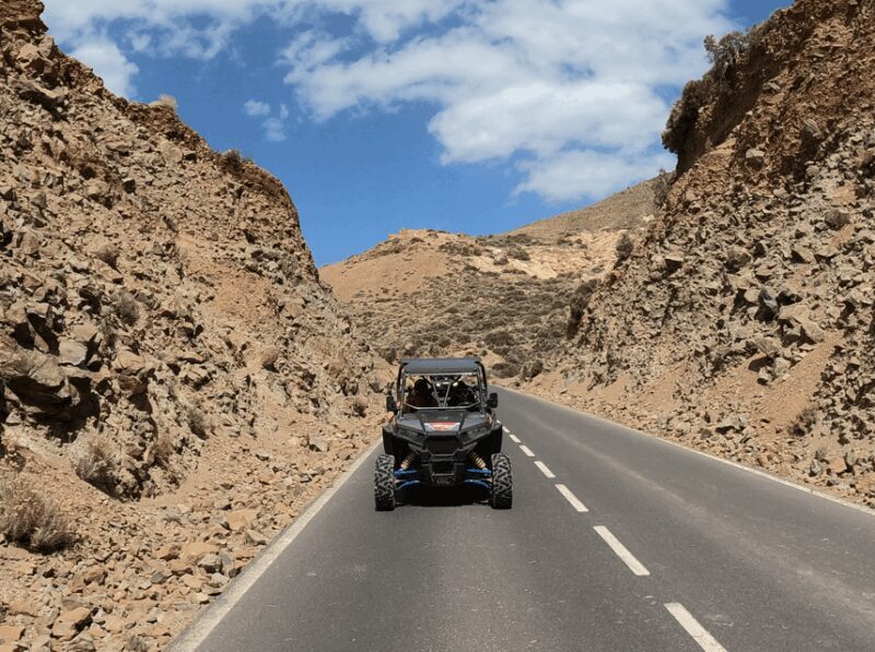 Tenerife: Volcano Teide Buggy Tour with Wine Tasting & Tapas - Who Will Love This Tour?