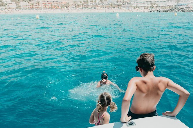 Tenerife: Whale and dolphin watching - An Overview of the Experience