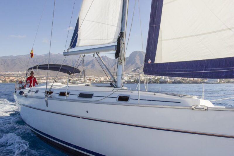 Tenerife: Whale and Dolphin Watching Tour by Sailboat - FAQ