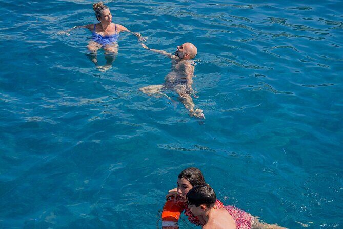 Tenerife: Whale and Dolphin Watching with a Plunge - Practical Details and Tips for Your Trip