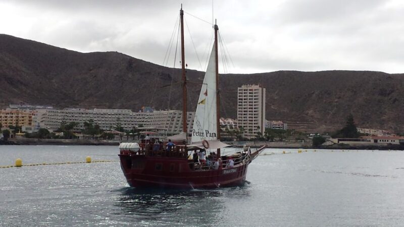 Tenerife: Whale & Dolphin Watching Cruise with Swim Stop - Exploring the Experience in Detail