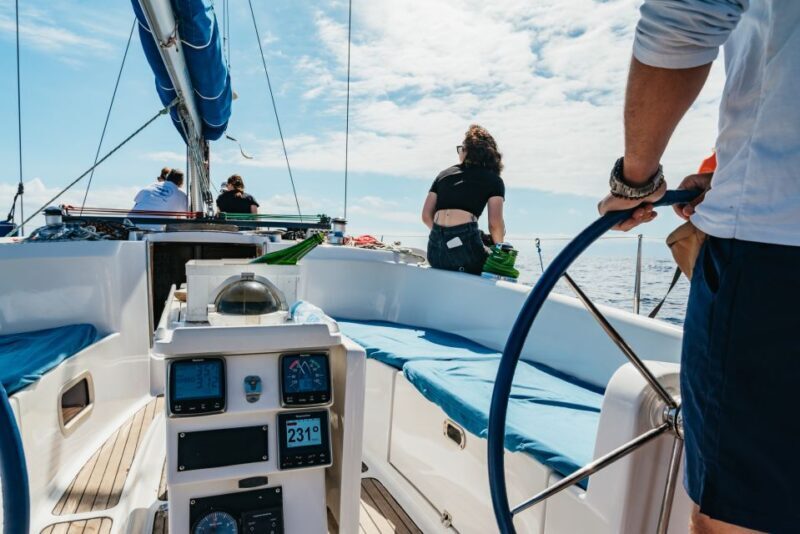 Tenerife: Whale & Dolphin Watching with Drinks and Snacks - FAQ