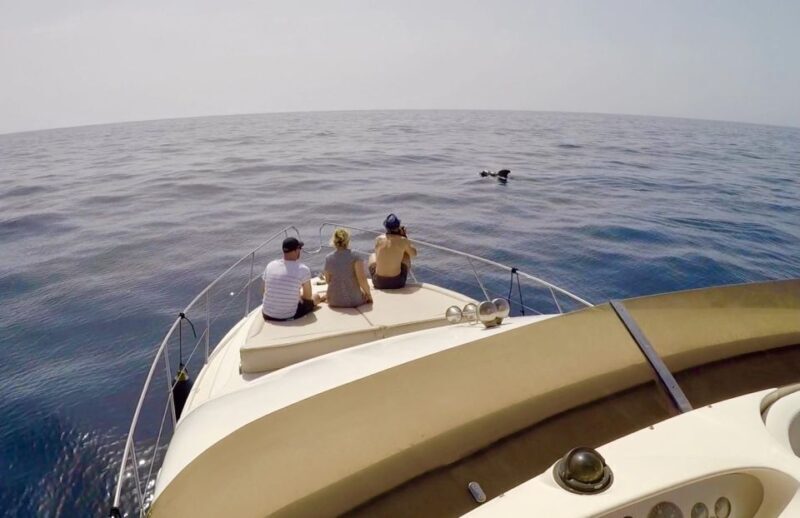 Tenerife: Whales and Snorkeling Tour on a Luxury Yacht - FAQs