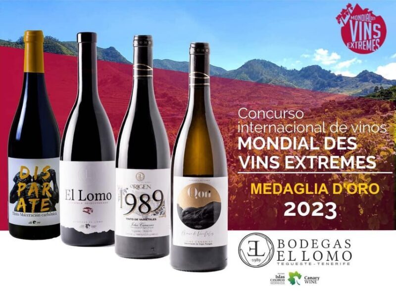 Tenerife Wine: Guided Tour & Tasting with Canarian bites - Exploring the Experience in Detail