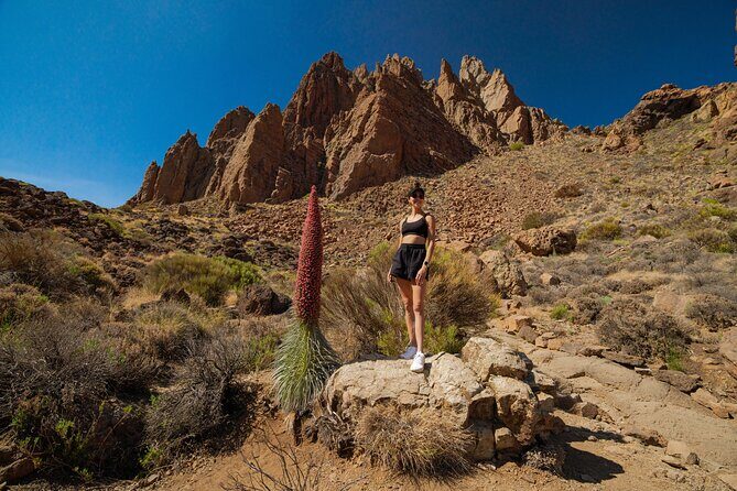 Tenerife Wonder Walk - Itinerary Breakdown: What to Expect at Each Stop