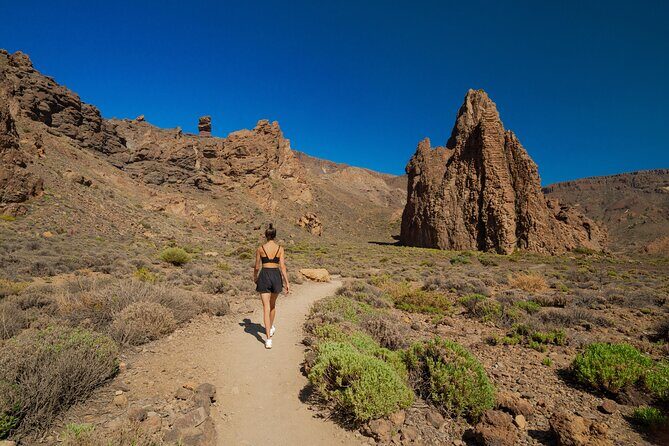 Tenerife Wonder Walk - Pricing and Value