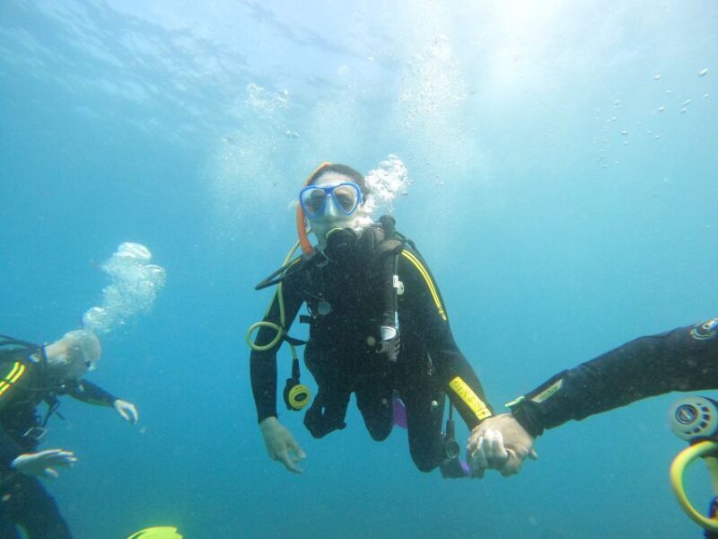 Tenerife: Your First Scuba Diving Experience in Turtle Area - The Return Journey: Relaxation and Reflection