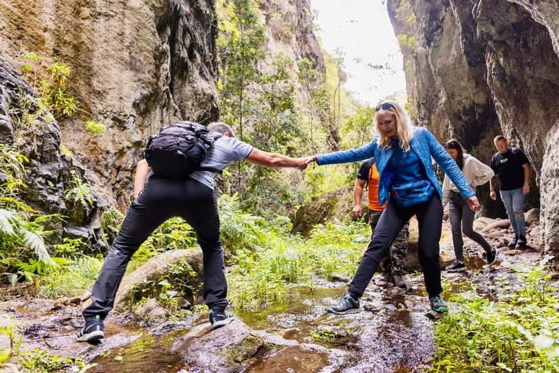 Teno Waterfalls Hiking Tour: Tropical Jungle Adventure - What Is the Teno Waterfalls Hiking Tour?