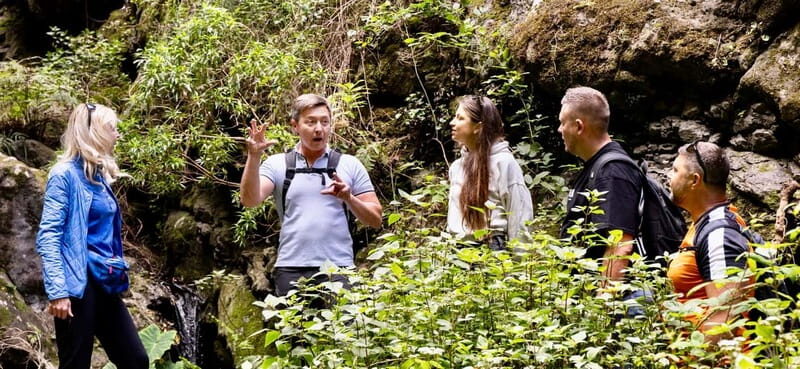 Teno Waterfalls Hiking Tour: Tropical Jungle Adventure - Final Thoughts