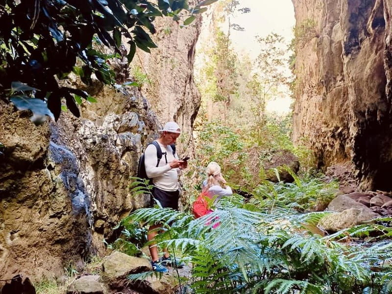 Teno Waterfalls Hiking Tour: Tropical Jungle Adventure - FAQ