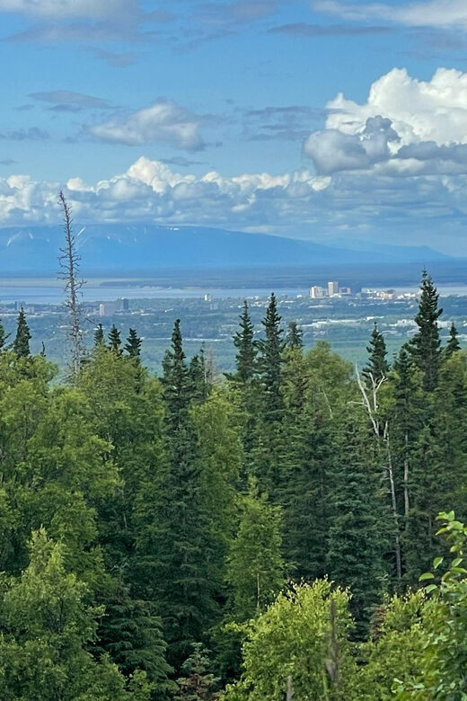 Tent city Anchorage and wonderful surroundings 3 hrs tour - Practical Tips for Travelers