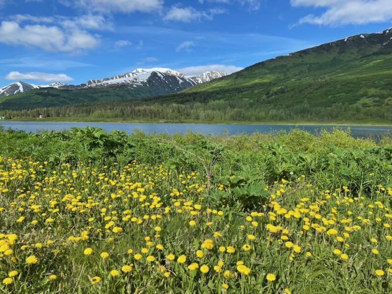 Tent city Anchorage and wonderful surroundings 3 hrs tour - Frequently Asked Questions