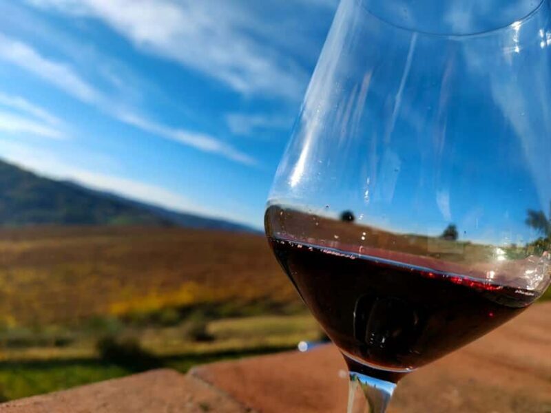 Tenuta Bonzara - Tour and wine tasting on the Bolognese Hills - Key Points