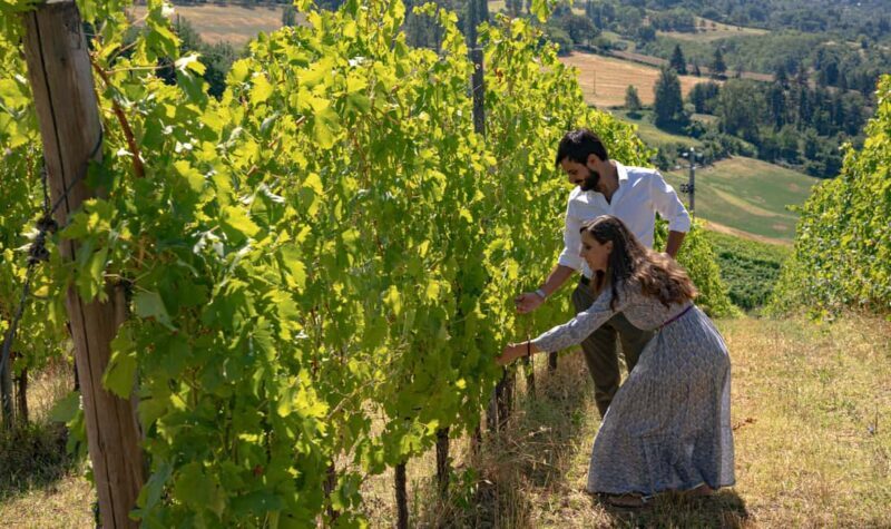 Tenuta Bonzara - Tour and wine tasting on the Bolognese Hills - Final Thoughts: Is It Worth It?