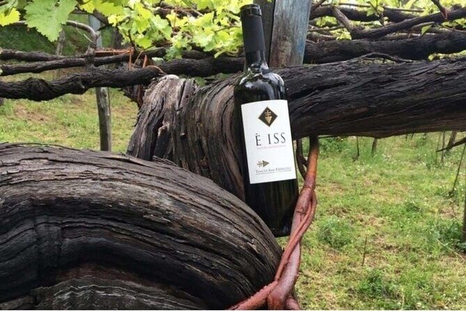 Tenuta San Francesco Wine Tasting - Introduction