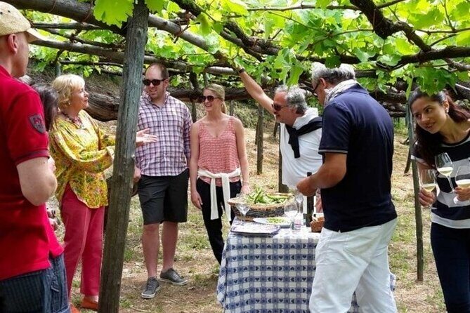 Tenuta San Francesco Wine Tasting - FAQ