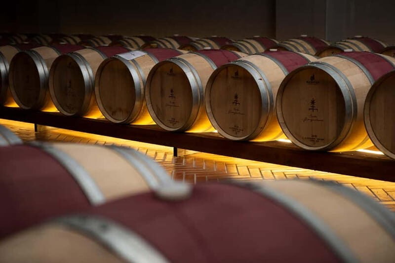 Tenute Girolamo: Winery tour and Classic tasting in the Itria Valley - Who Would Enjoy This Experience?