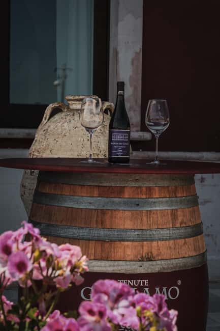 Tenute Girolamo: Winery tour and Premium Tasting in the Itria Valley - Practical Tips for Visitors