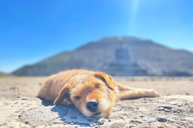 Teotihuacan and My Grandma's Food Tour - Final Thoughts