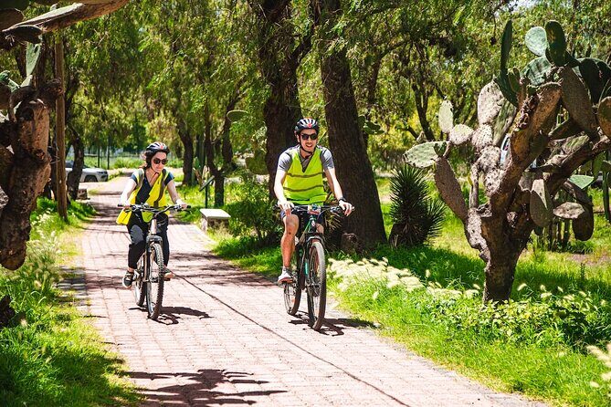 Teotihuacan Biking Tour with History and Pulque Tasting - Exploring Teotihuacan by Bike: A Practical, Authentic Adventure
