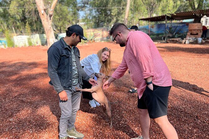 Teotihuacan Exclusive Cueva Tour and Breakfast - What Works Well and What Could Be Better
