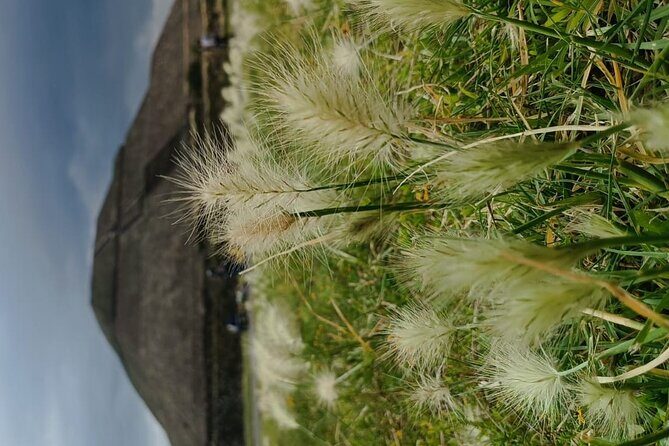 Teotihuacan Pyramids small groups and Basilica of Guadalupe - The Sum Up