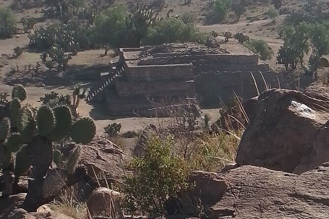 Teotihuacan Pyramids tour - The Transport and Guide