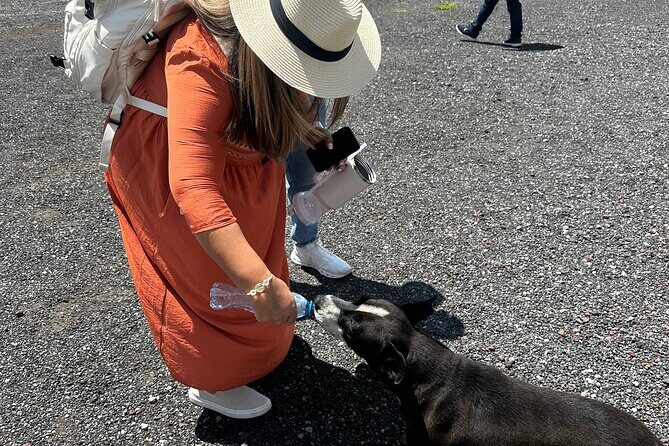 Teotihuacan Sunrise Tour from Mexico City - What Reviewers Say