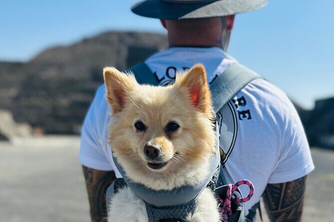 Teotihuacan Sunrise Tour from Mexico City - Who Will Love This Tour?