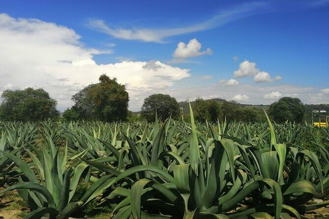 Teotihuacan Tour: Archaeological Zone, Magic Town and UNESCO Site - Who This Tour is Perfect For