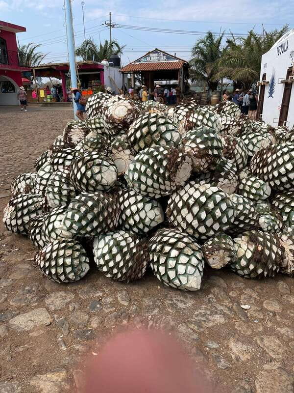 Tequila and Cantaritos Tour from Guadalajara - FAQ