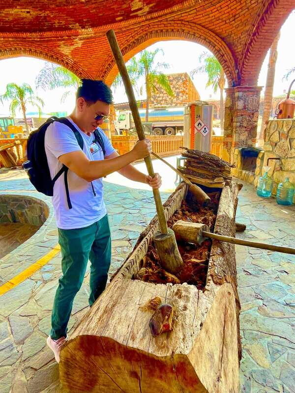 Tequila and Guachimontones: Private Full Day Tour - An In-Depth Look at the Tour Experience