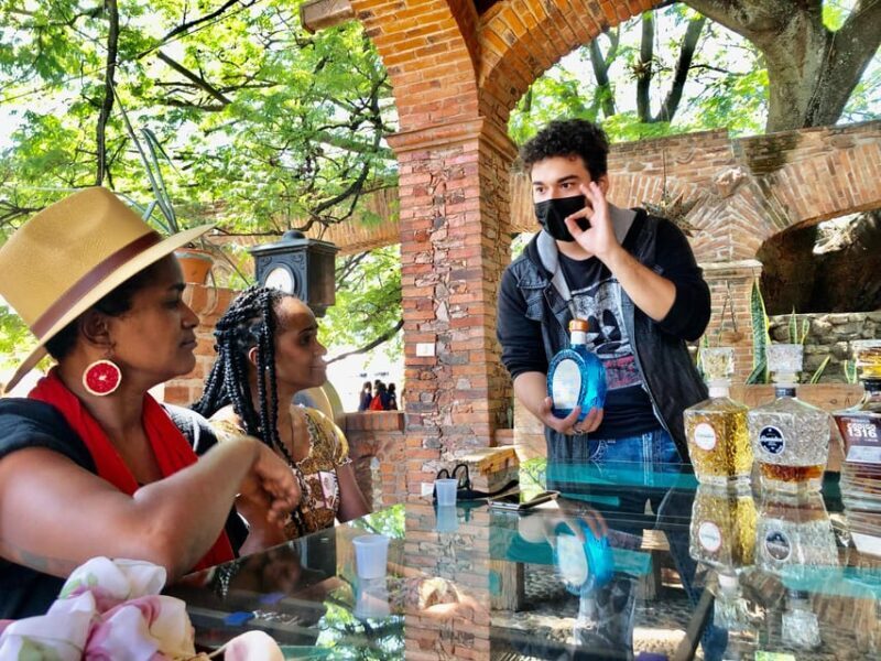 Tequila and Guachimontones: Private Full Day Tour - Final Thoughts