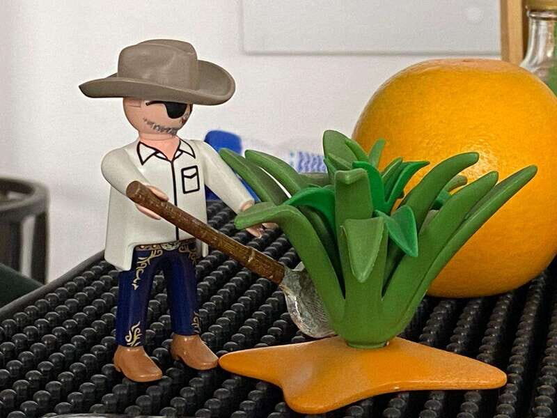 Tequila and Mezcal tasting in an educational tasting room - Who Would Love This Experience?