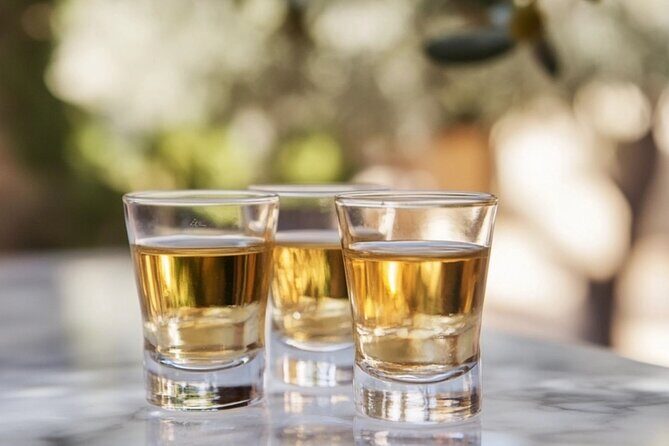 Tequila and Mezcal Tasting in Colonial Mansion Restaurante Diego - Who This Tour Is Perfect For