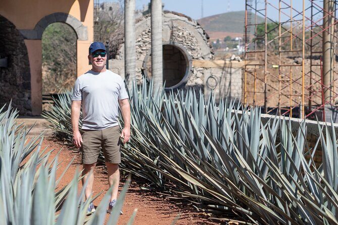Tequila Day Trip - Authentic Insights from Reviews