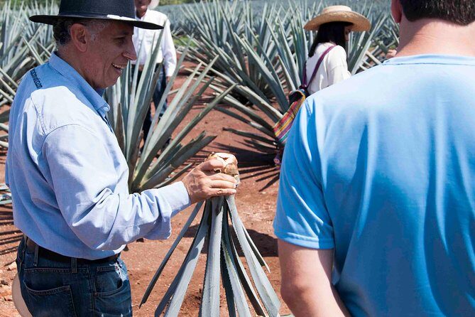 Tequila distillery experience, Jose Cuervo & Tequila Magic Town - Summary and Who This Tour Is Best For
