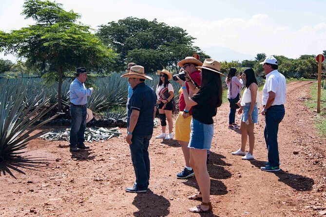 Tequila distillery experience, Jose Cuervo & Tequila Magic Town - Final Thoughts