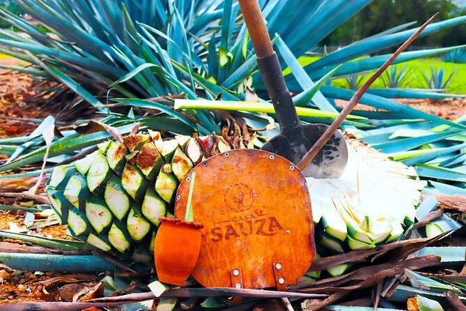 Tequila Express - A Closer Look at the Tequila Express Tour from Guadalajara