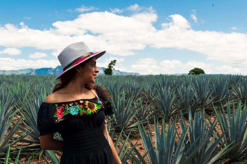 Tequila Full-Day Discovery Tour of Amatitan - Who Is This Tour Best For?  