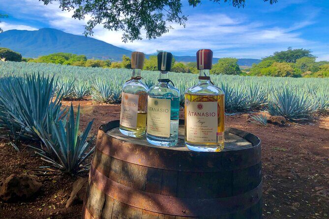 Tequila Full Experience! - Exploring the Itinerary in Detail