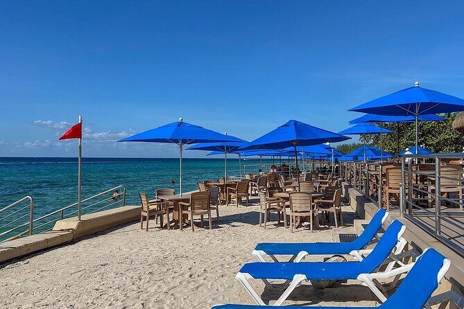 Tequila History and Tasting Experience and Unlimited Beach Break - Who Should Consider This Tour?