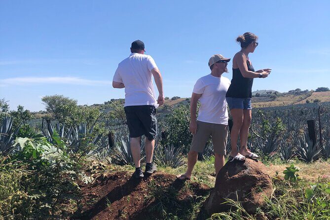 Tequila Jalisco Full Day Tour from Puerto Vallarta - Starting the Day: Pickup and Journey