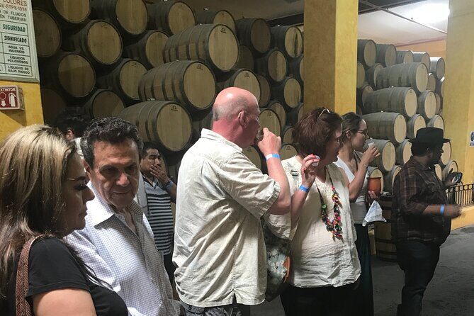 Tequila Jalisco Full Day Tour from Puerto Vallarta - Exploring Tequila Town